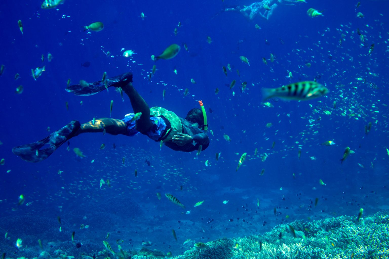 Best places in Madeira for diving and snorkelling - Blog - An Island Apart
